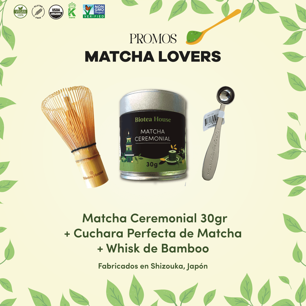 Ofertas especiales con descuentos irresistibles